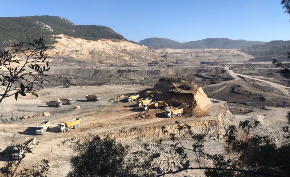 İklim krizine karşı ormanlarımızı koruyalım - YENİ ASYA